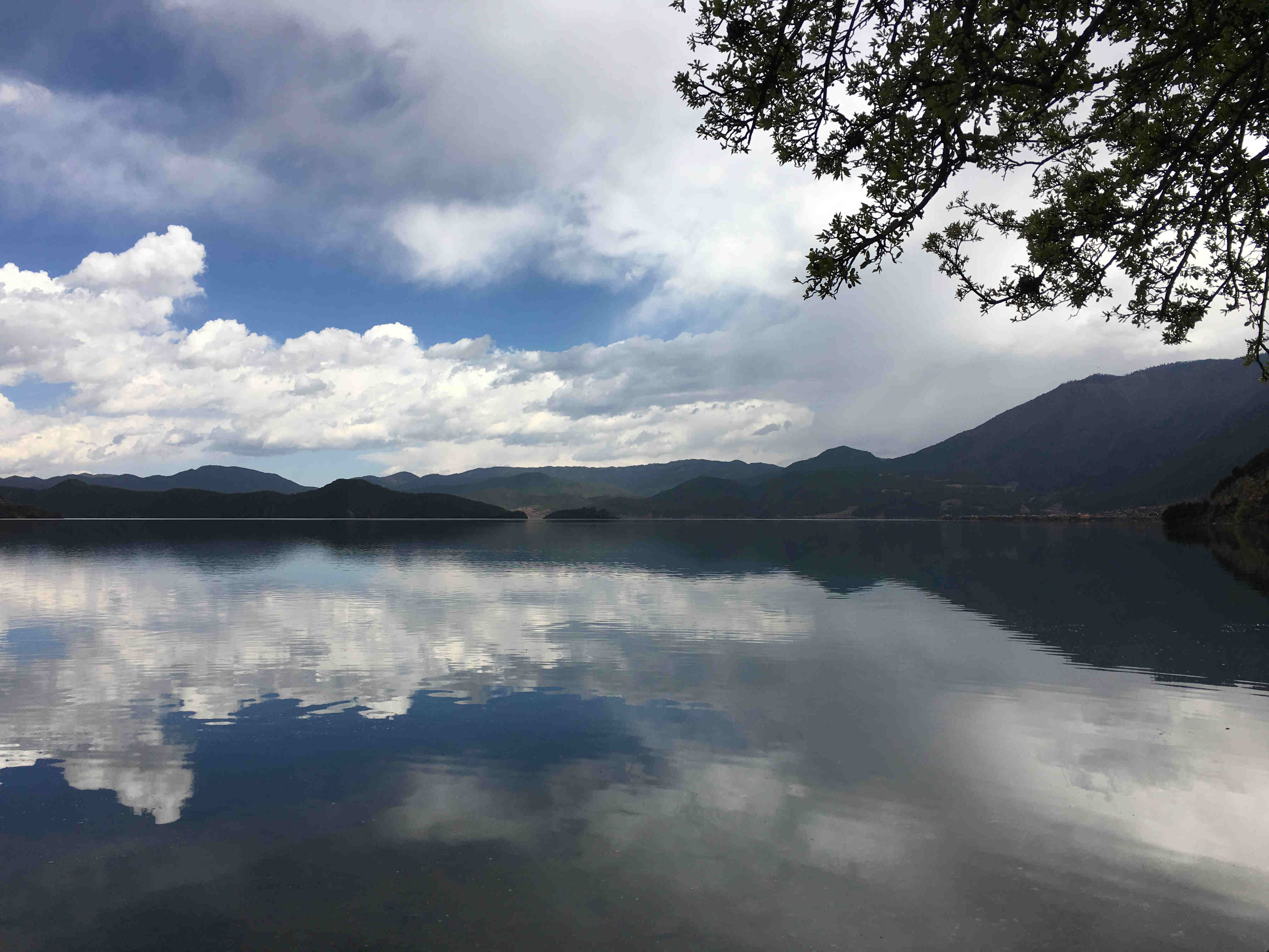 [译]在ECS上使用Consul实现服务发现 – Bu・log